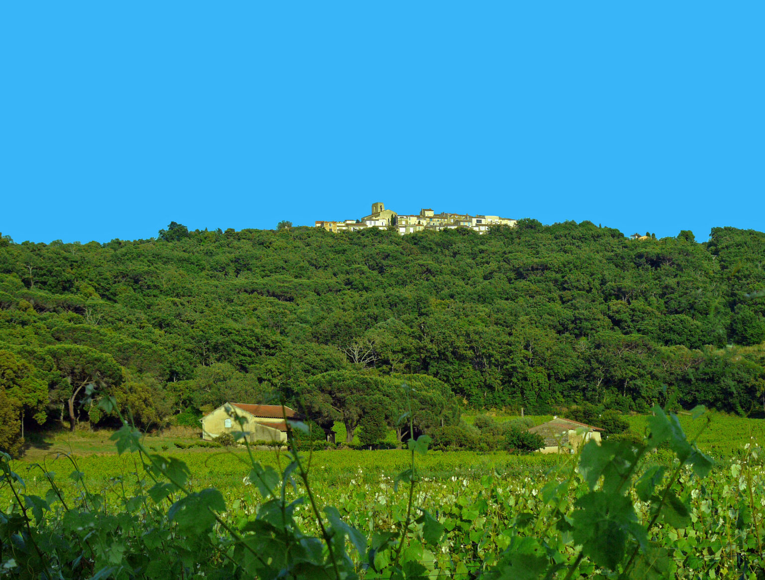 Quoi faire à Gassin ? – Office de Tourisme de Gassin